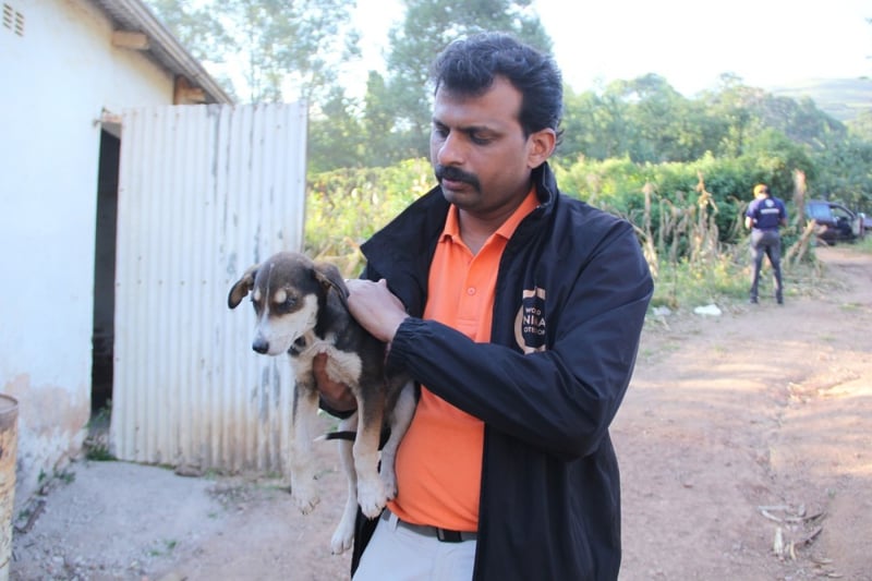 How Can Countries Protect People And Animals From Biological Disasters