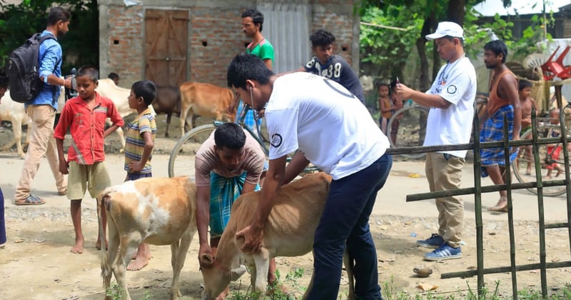 Why Do We Need To Integrate Animals in Disaster Management?